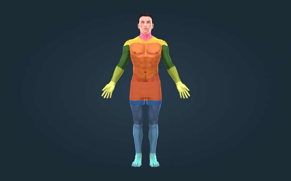 Dijelovi ljudskog tijela (za djecu) - 3D scene - HR Mozaik digitalno ...
